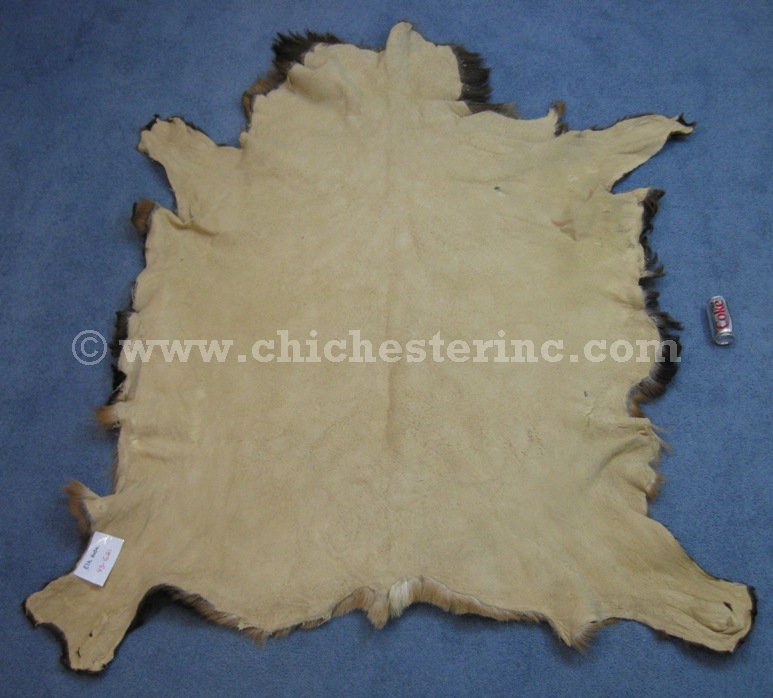 How To Skin A Elk at Chastity Dowling blog