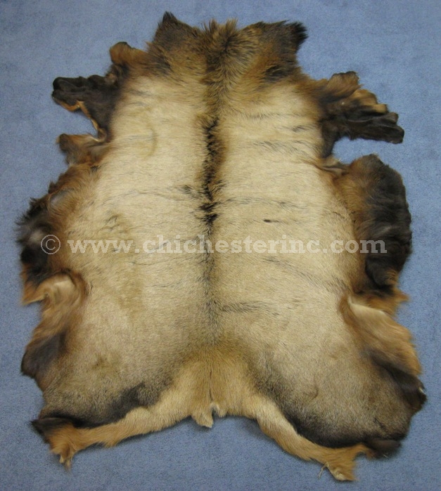 How To Skin A Elk at Chastity Dowling blog