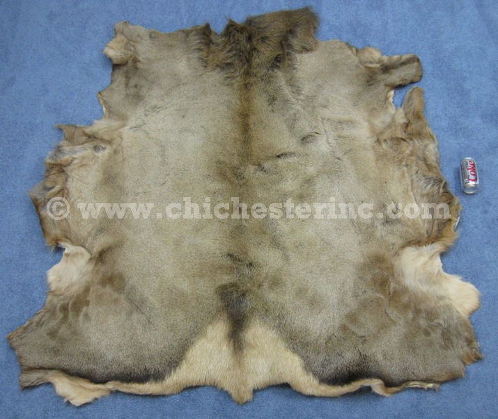 How To Skin A Elk at Chastity Dowling blog