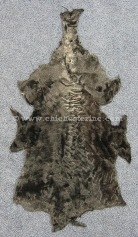 Broadtail Lamb, Karakul, Caracul, Qaraqul, Swakara, Astrakhan, Persian ...