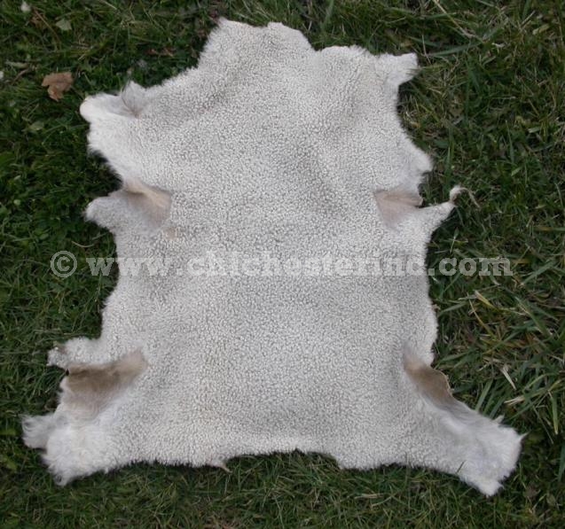 Lamb Slink or Unborn Lamb or Baby Lamb