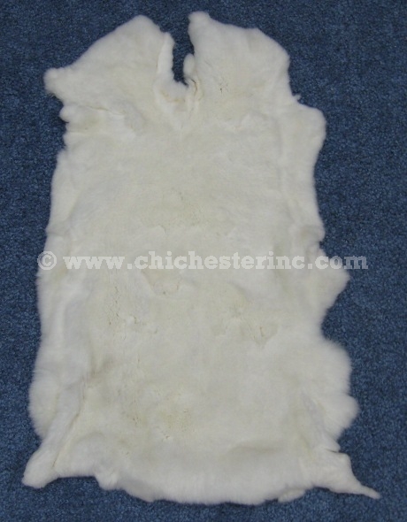 Rex Rabbit Skins