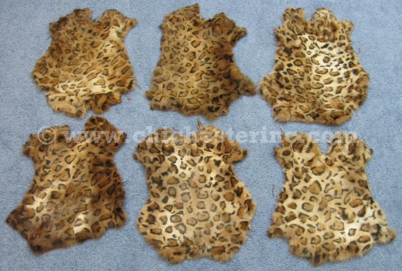 Stencilled or Printed Rabbit Skins Pelts Furs Hides in Various Animal ...