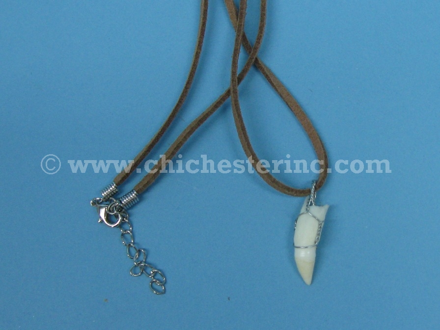 American Alligator Tooth Necklace or Alligator Tooth Necklaces or ...