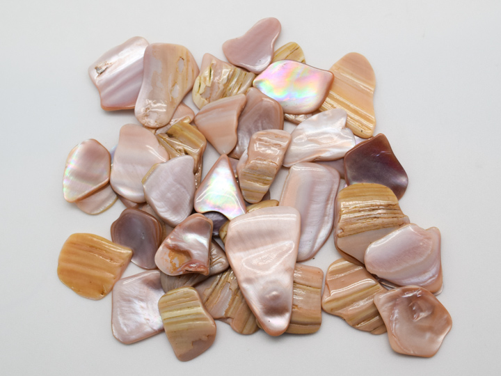 Pink Mussel Shell Pieces or Packaged Pink Mussel Shell or New Zealand ...