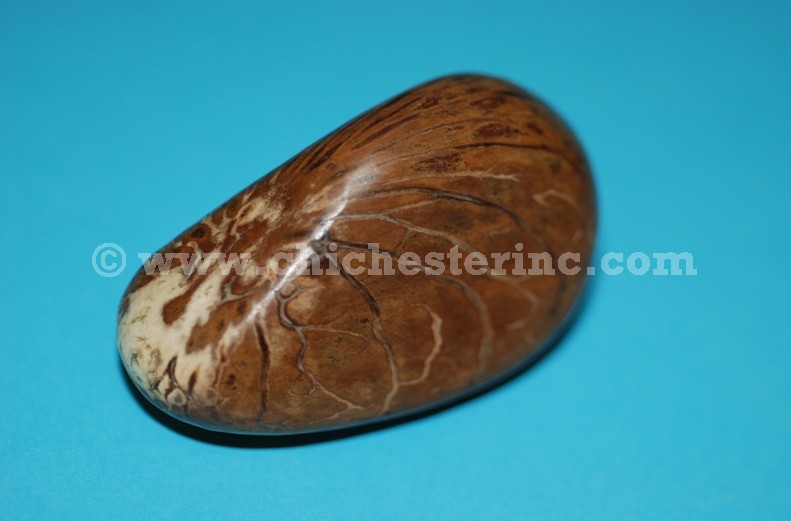 How To Polish Tagua Nuts