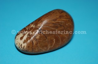 Tagua Nuts