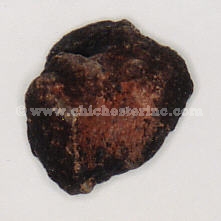 Dinosaur Dung and fossilized