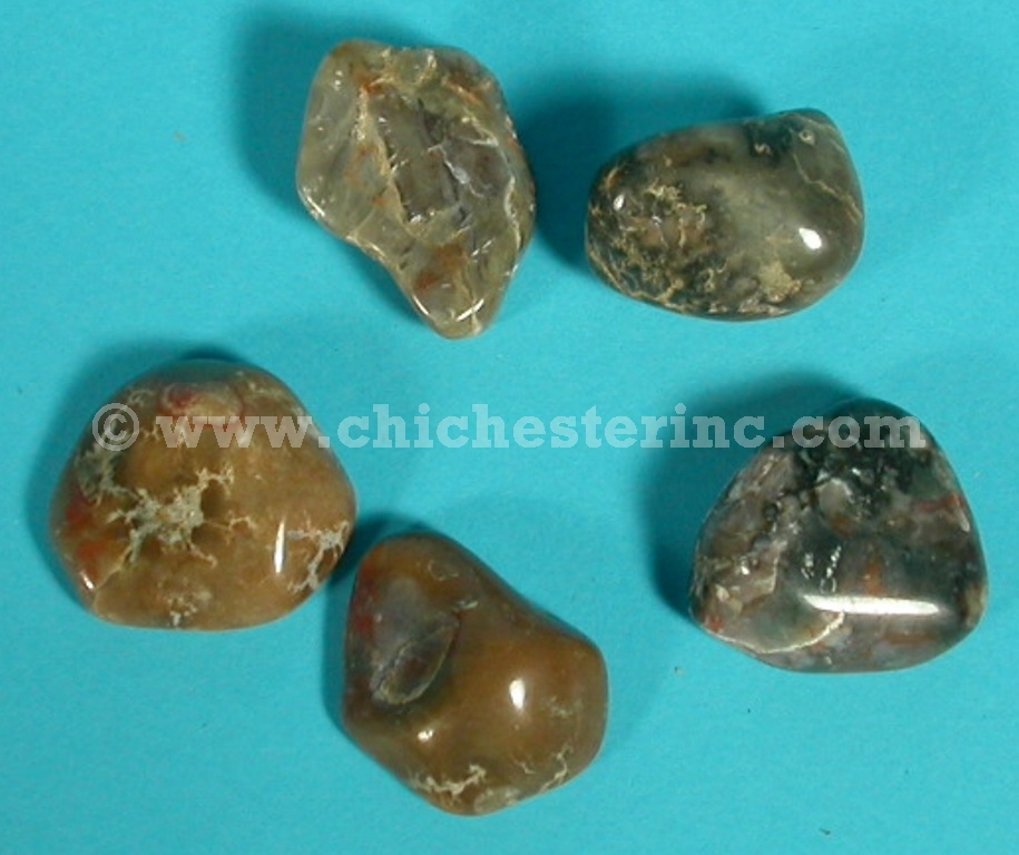 Dinosaur Dung and fossilized