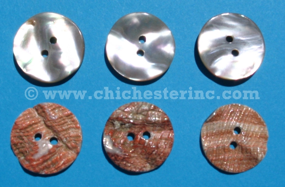 Australian Abalone Shell Buttons