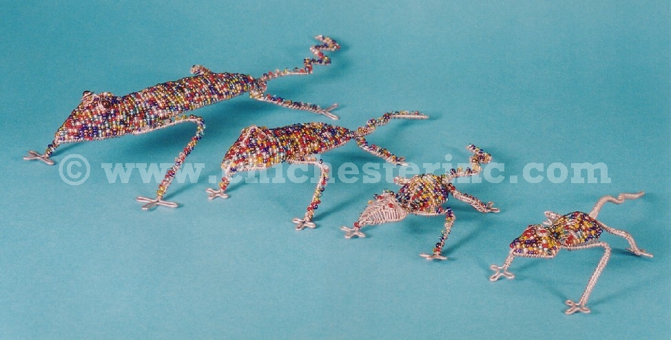 African Wire Wrap Geckos