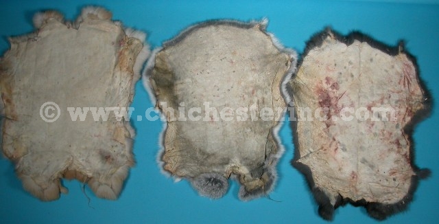 Reject grade Rabbit Skins and moldly rabbit skins