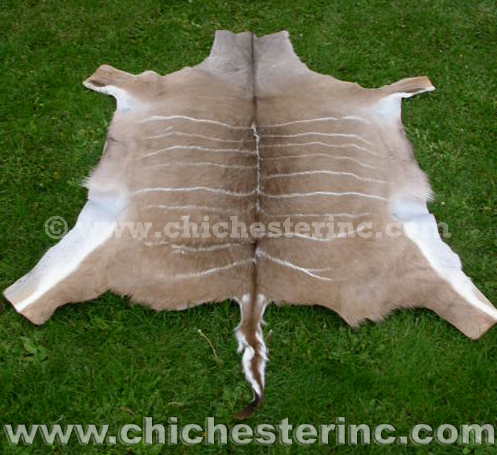 African Game Skins Kudu Skins